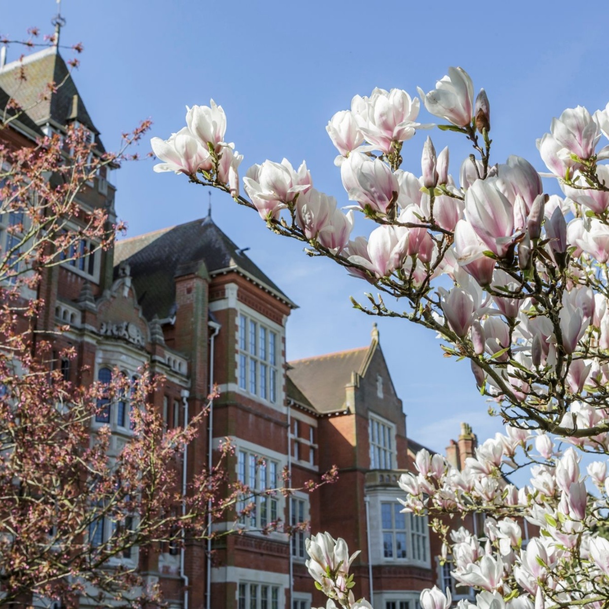 Warwick School - Warwick School selected as a Finalist for the ...