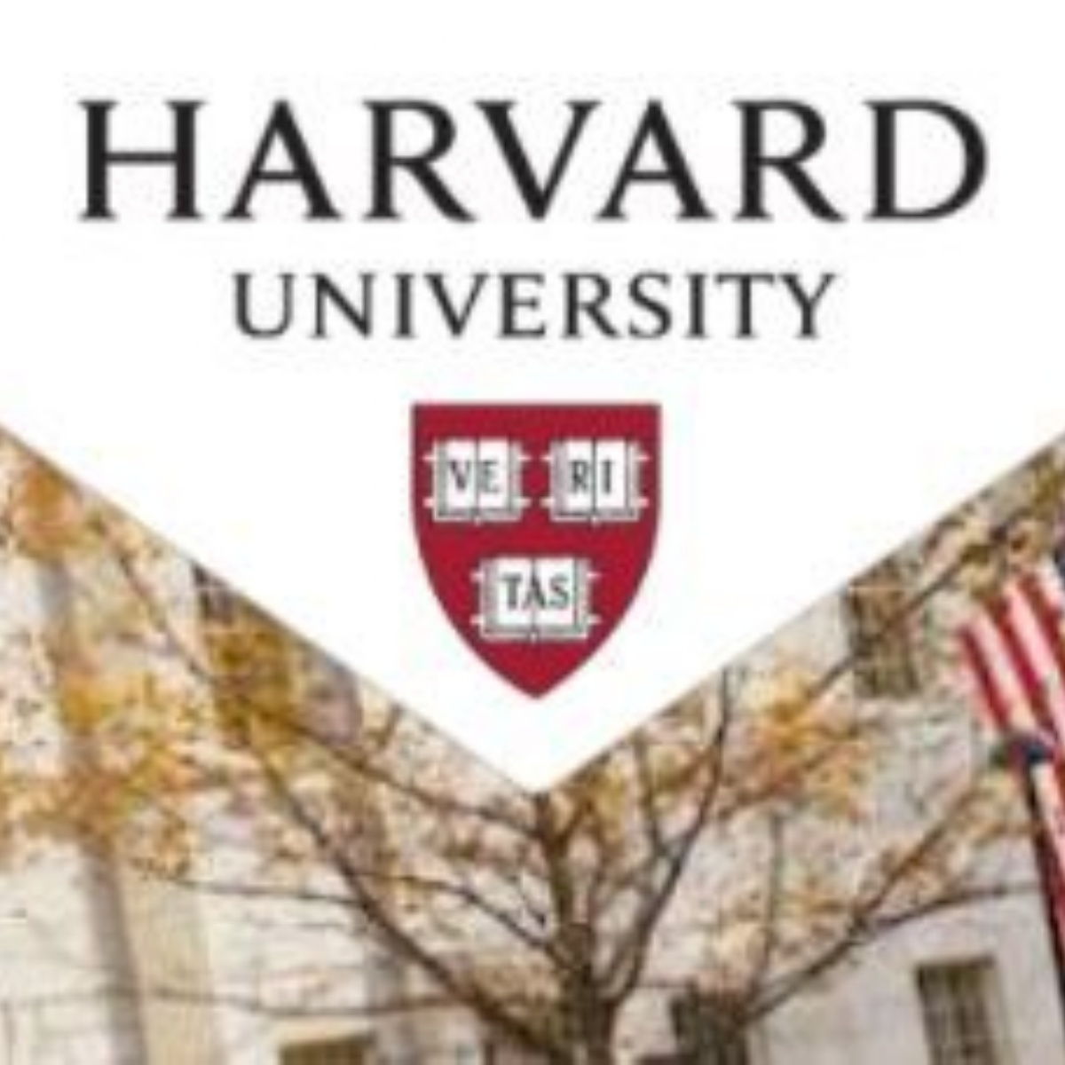Warwick School - Hassan Receives Harvard Offer