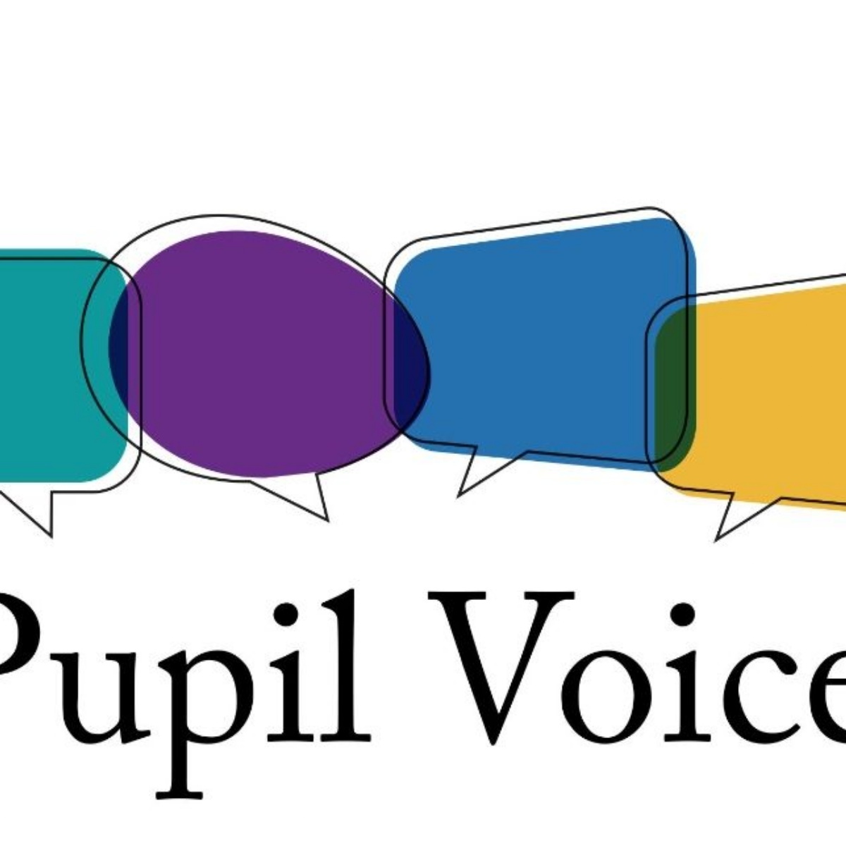 Warwick School - Highlights from Pupil Voice