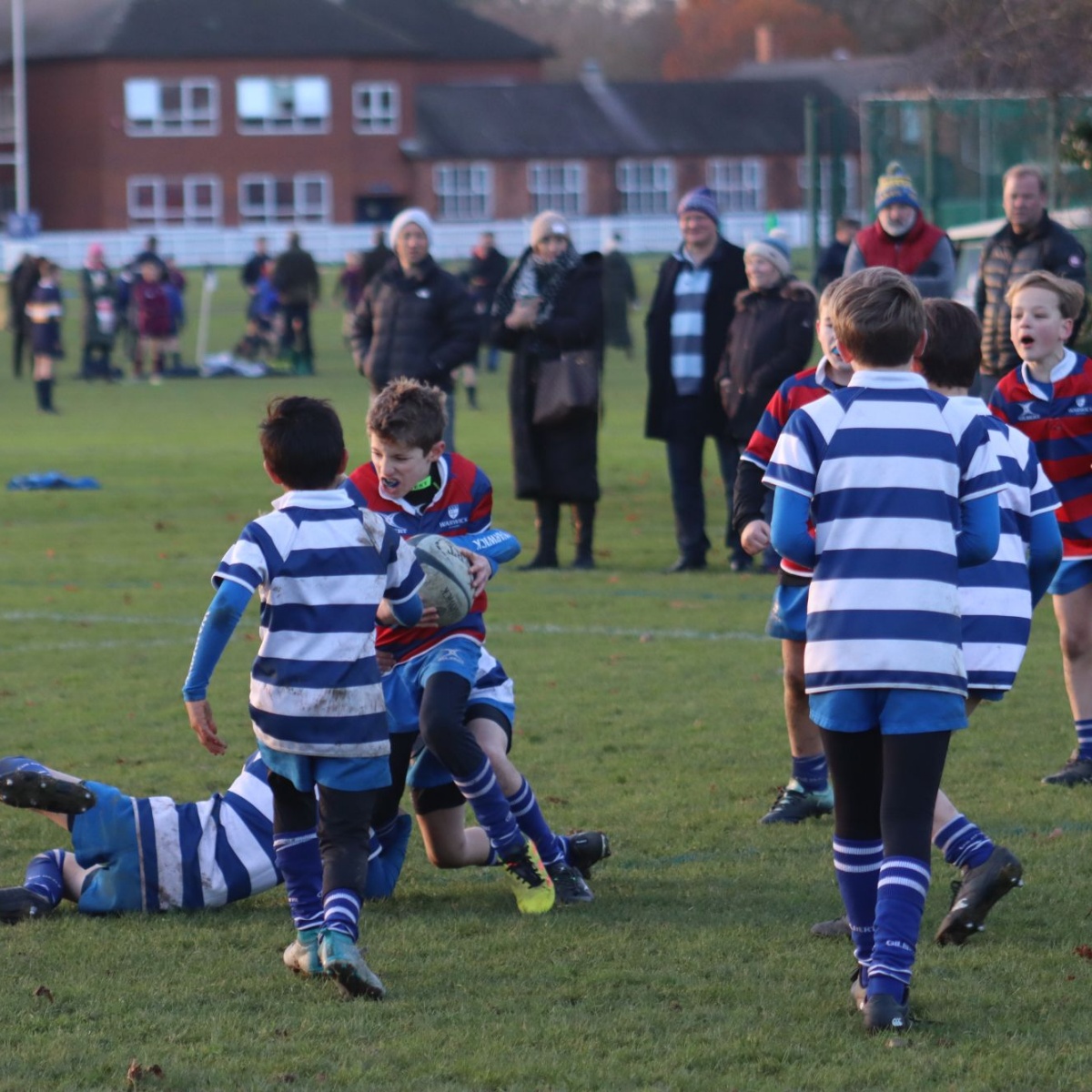 Warwick School - Warwick Junior School hosts U10 and U11 Rugby Festival
